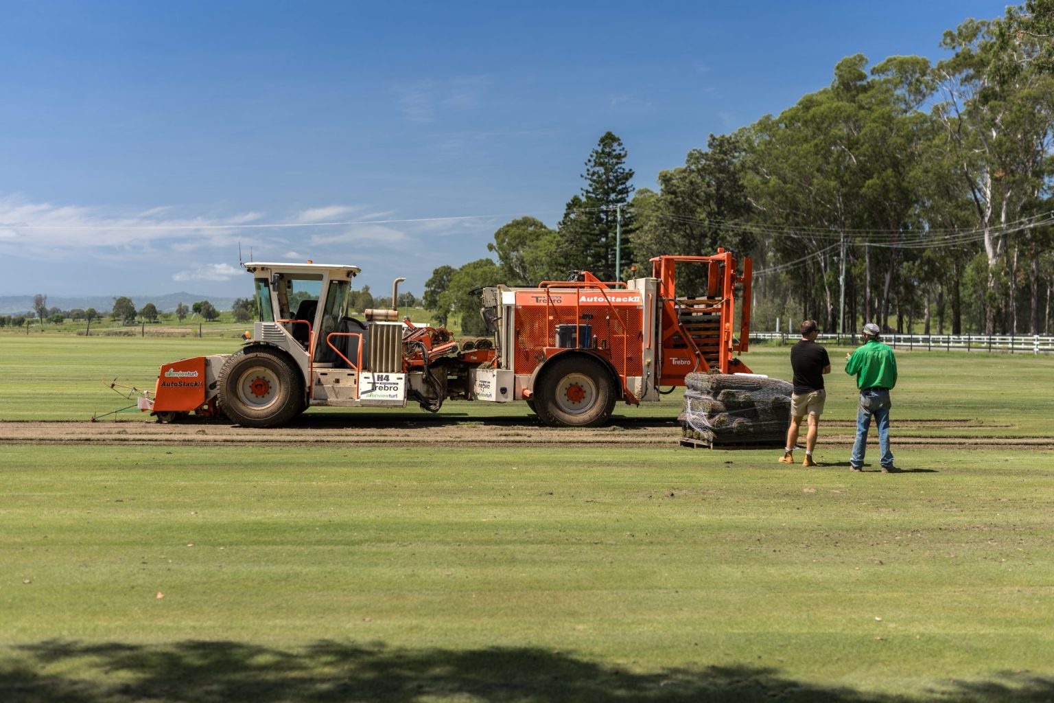 Allenview Turf | Premium Turf | Brisbane, Gold Coast, Ipswich