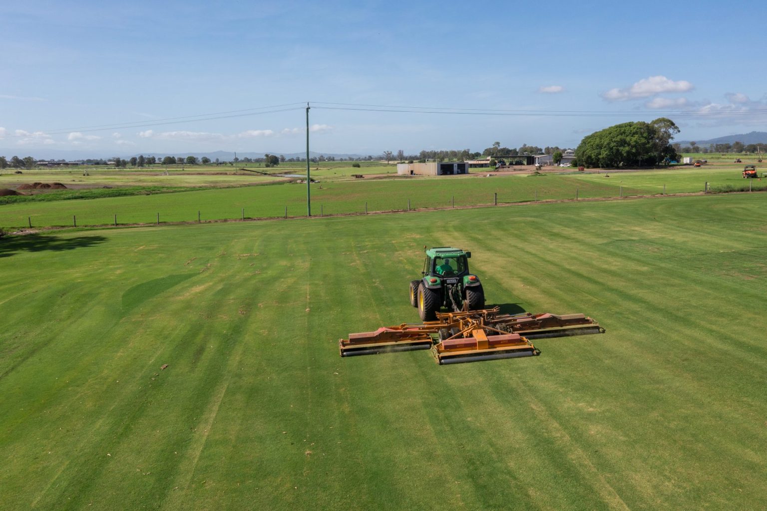 Allenview Turf | Premium Turf | Brisbane, Gold Coast, Ipswich